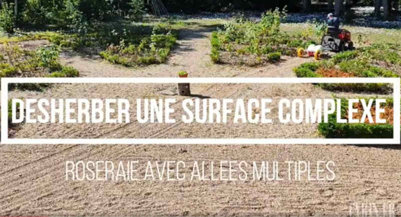 Désherber une roseraie sans y passer la journée ? - CYRiX